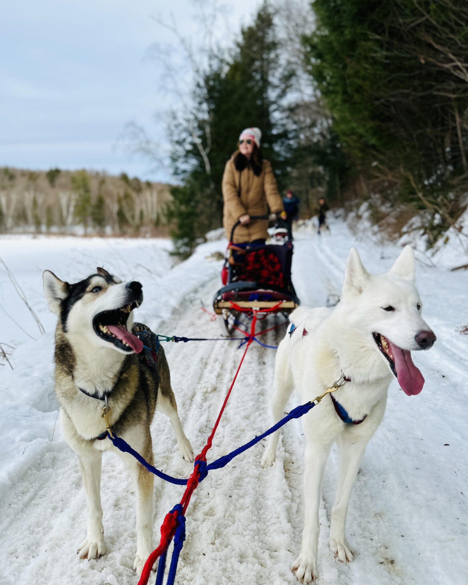 Top 3 Winter Experiences in the Haliburton Highlands – Cottage Country ...